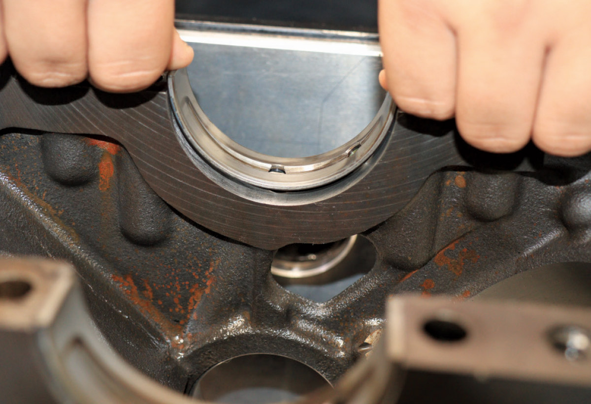 Extended Family Affair